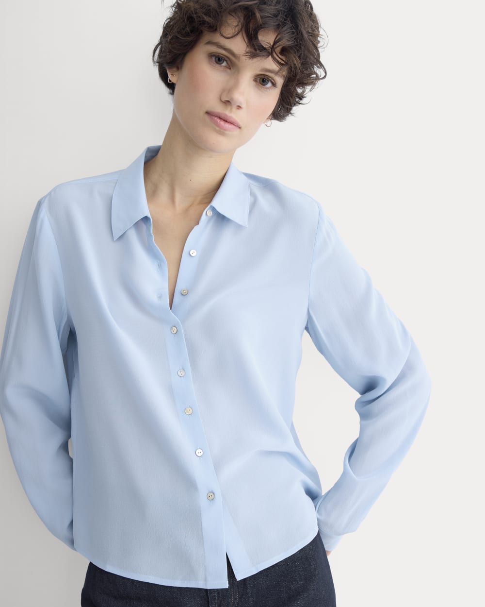 EVERLANE Everlane Shrunken Washable Silk Top